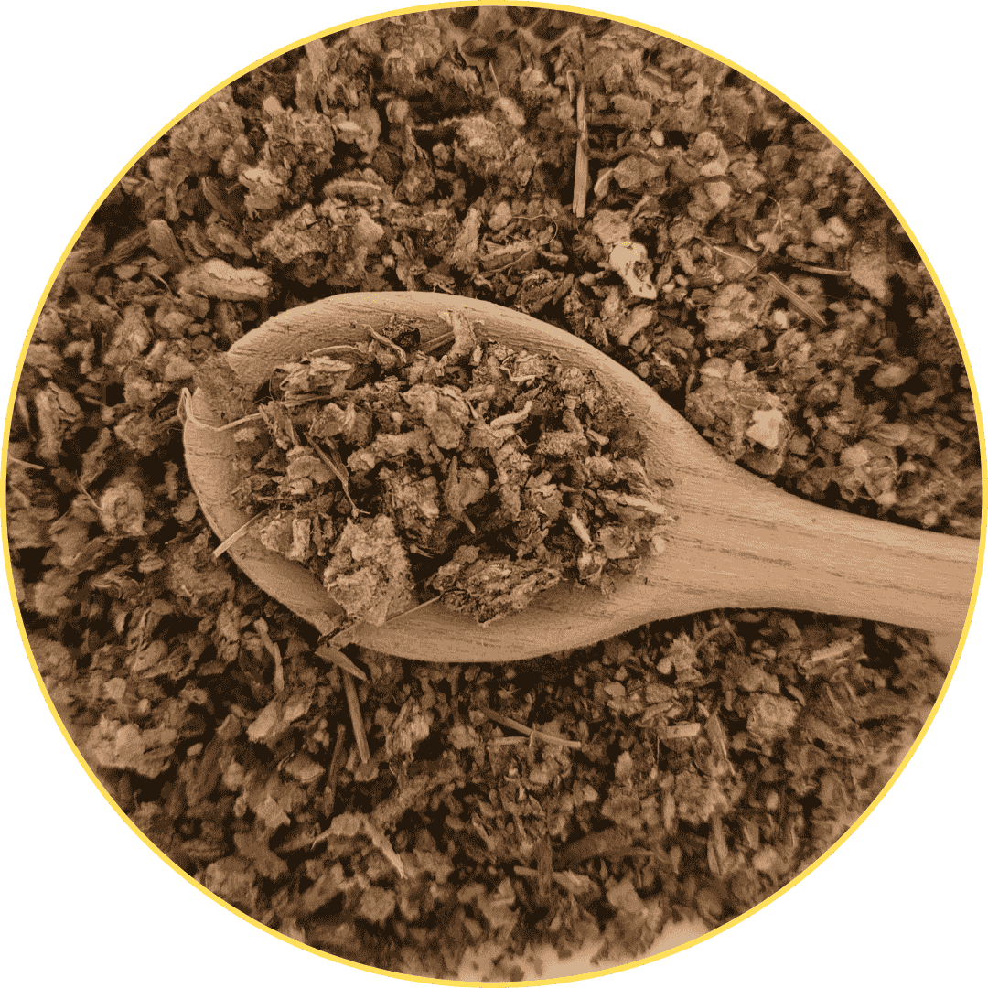 Wild Crafted Mullein Tea | Missouri Tea Company – The Missouri Tea Company